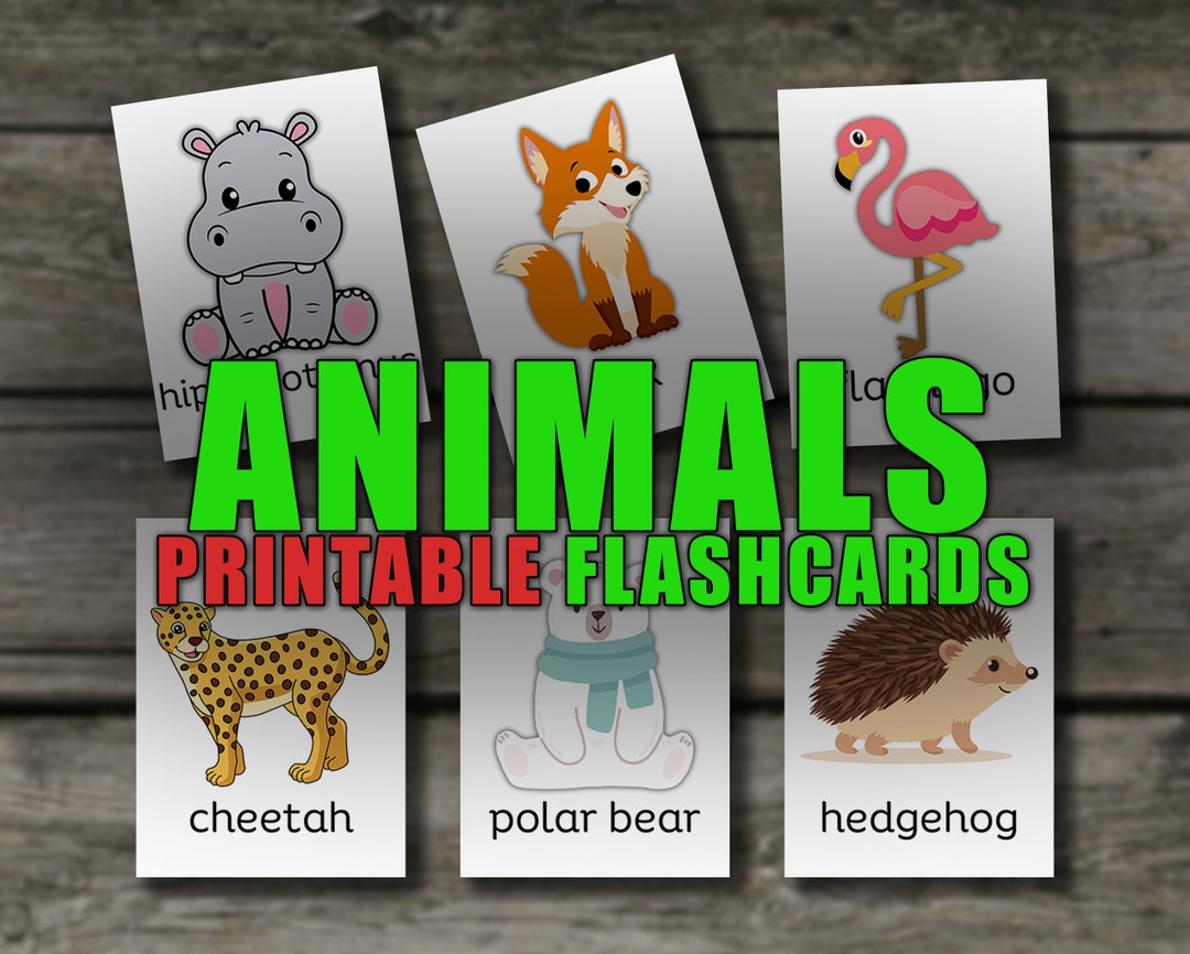 ANIMALS 50 Flashcards Printable Downloadable PDF & ZIP - Etsy
