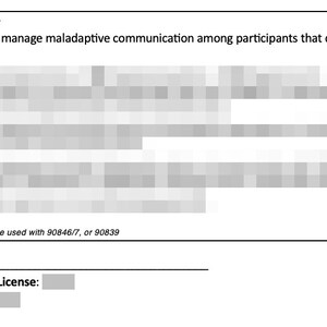 Therapy Progress Note Template (telehealth; PDF and Word) - Etsy