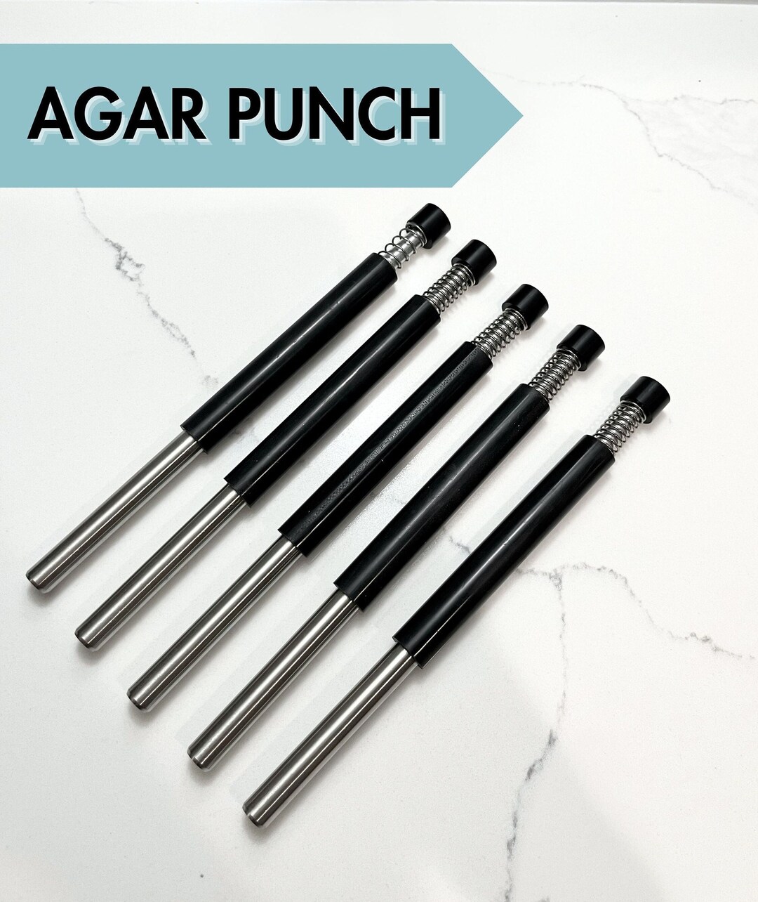 Agar Punch for Consistent and Precise Transfers - Etsy