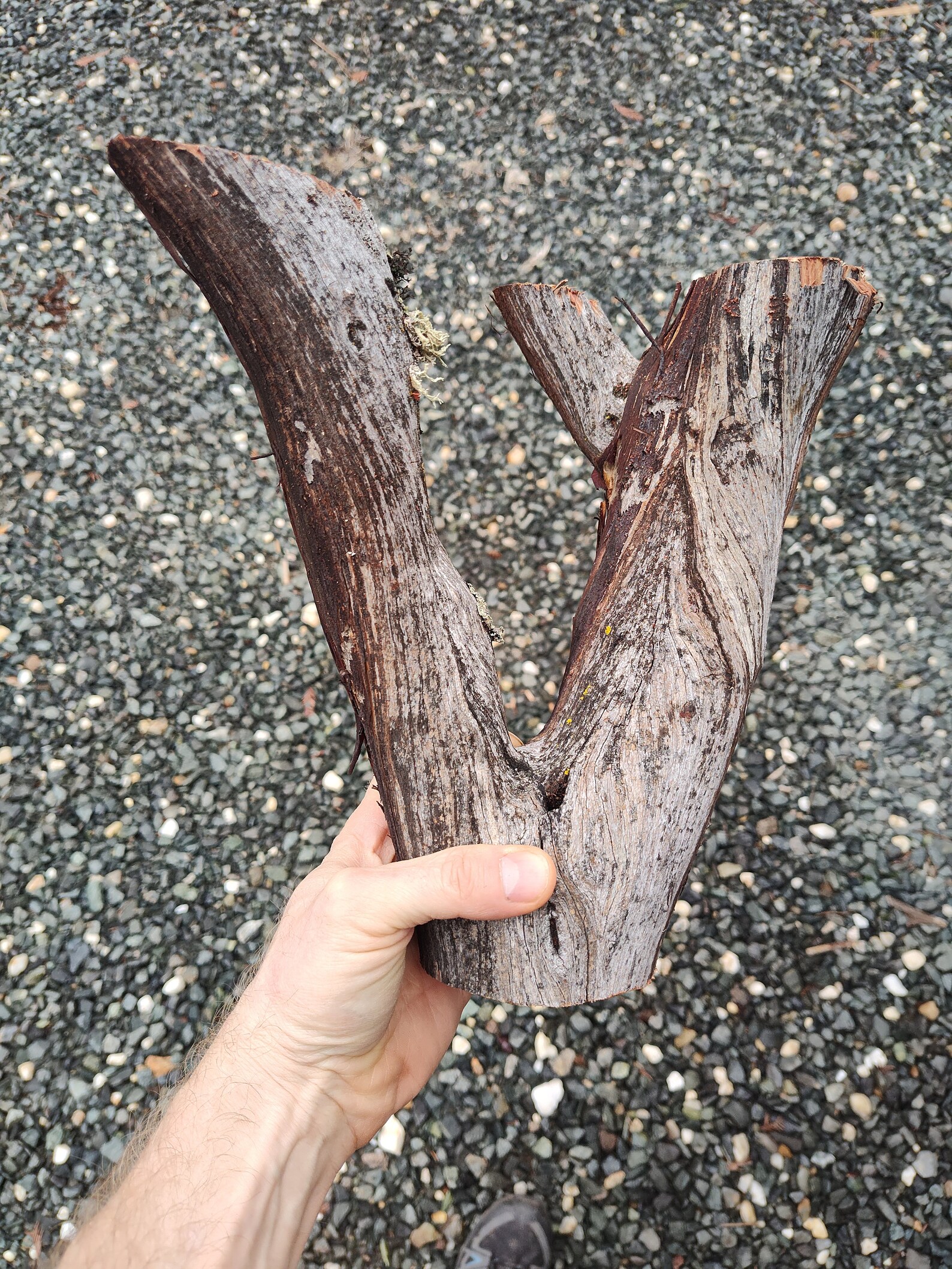 Custom Made Products Log Wood End Tables/manzanita Display Stands - Etsy