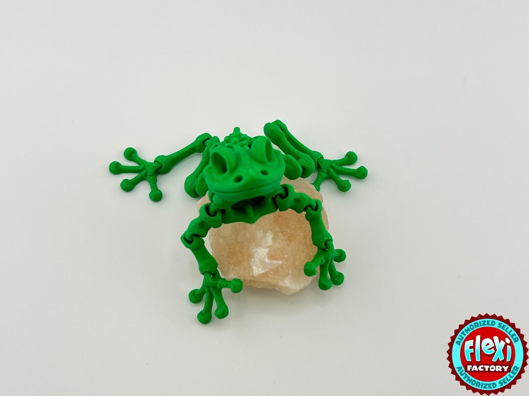 It's Ribby! the Articulating Skeleton Frog: Your Flexible Fidgeting ...