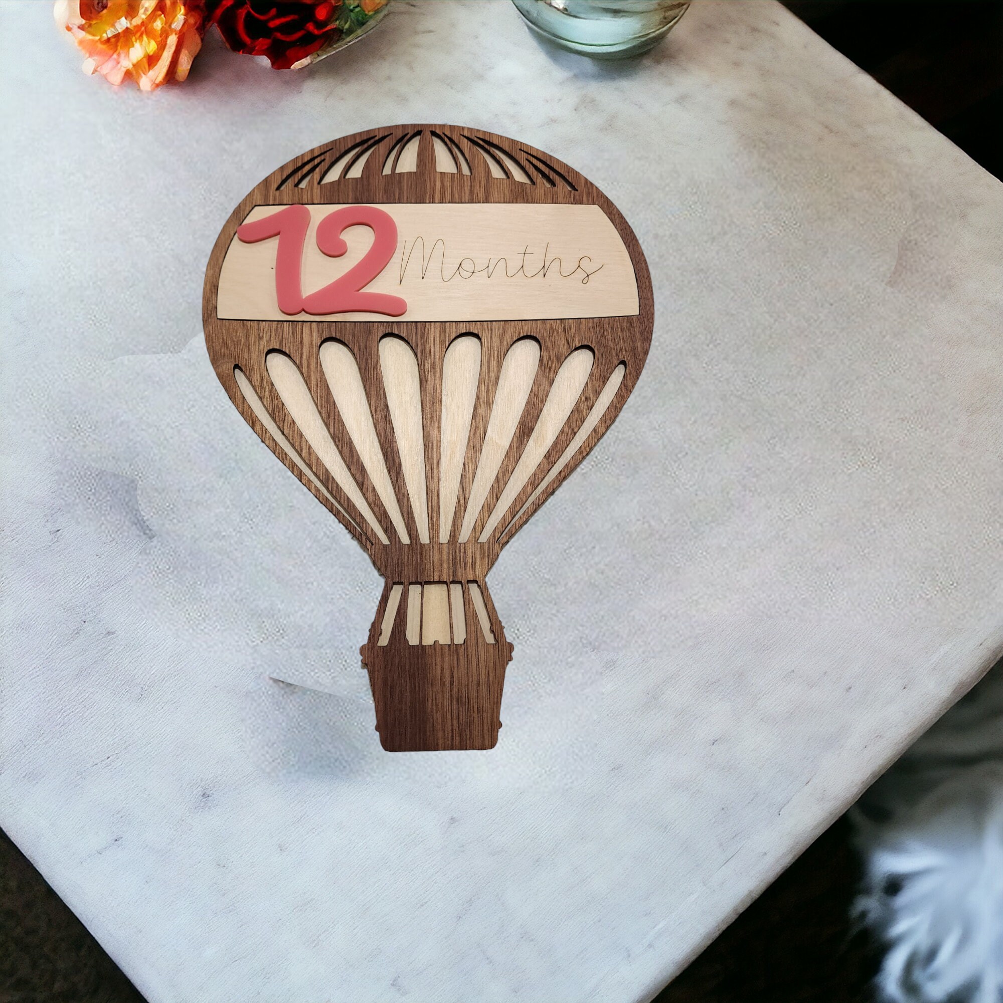 Hot Air Balloon Baby Milestone Sign Set | Baby Monthly Milestone Card ...