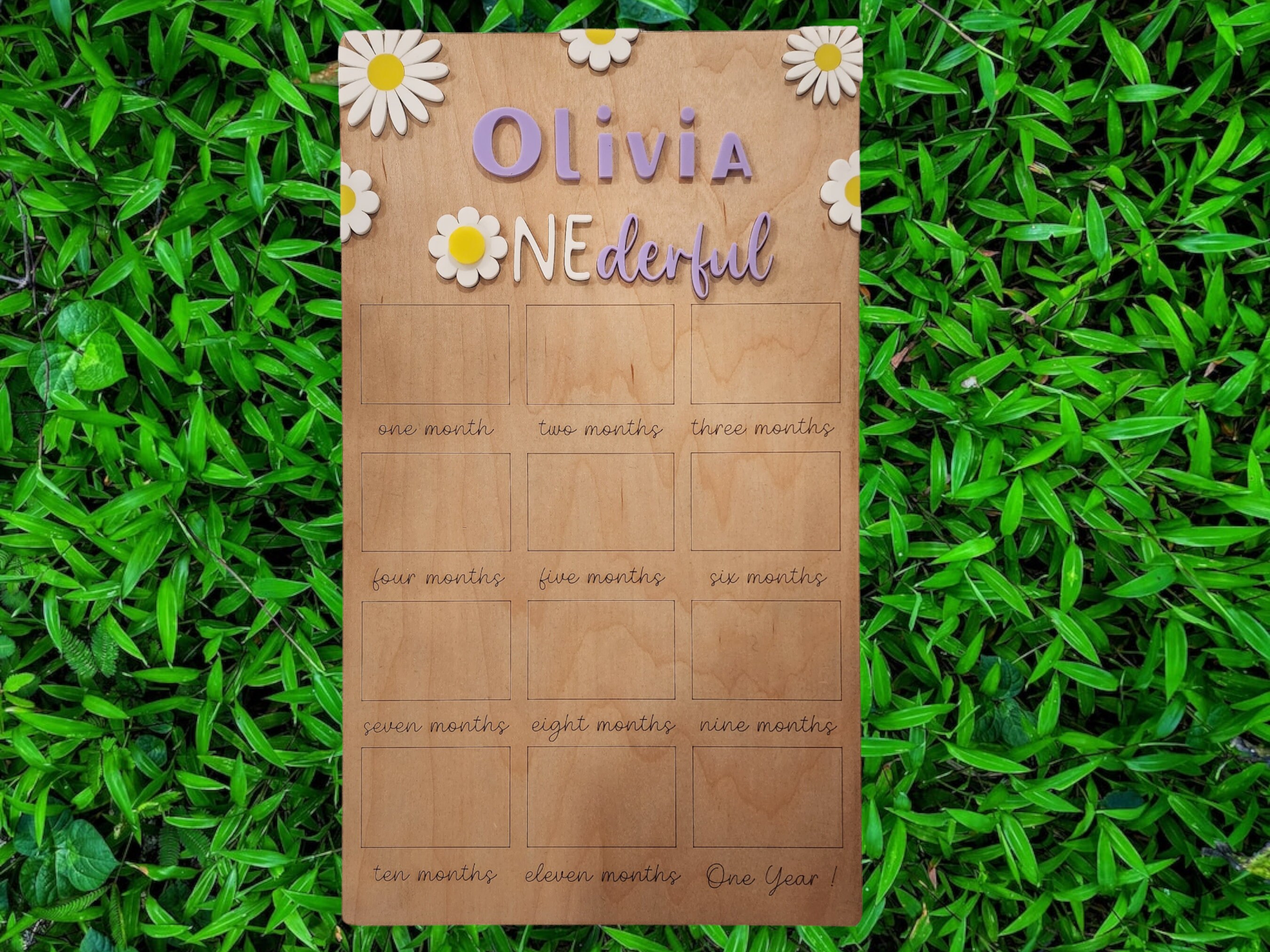 Baby's First Year Sign First Year Photo Board Milestone Sign 1st ...