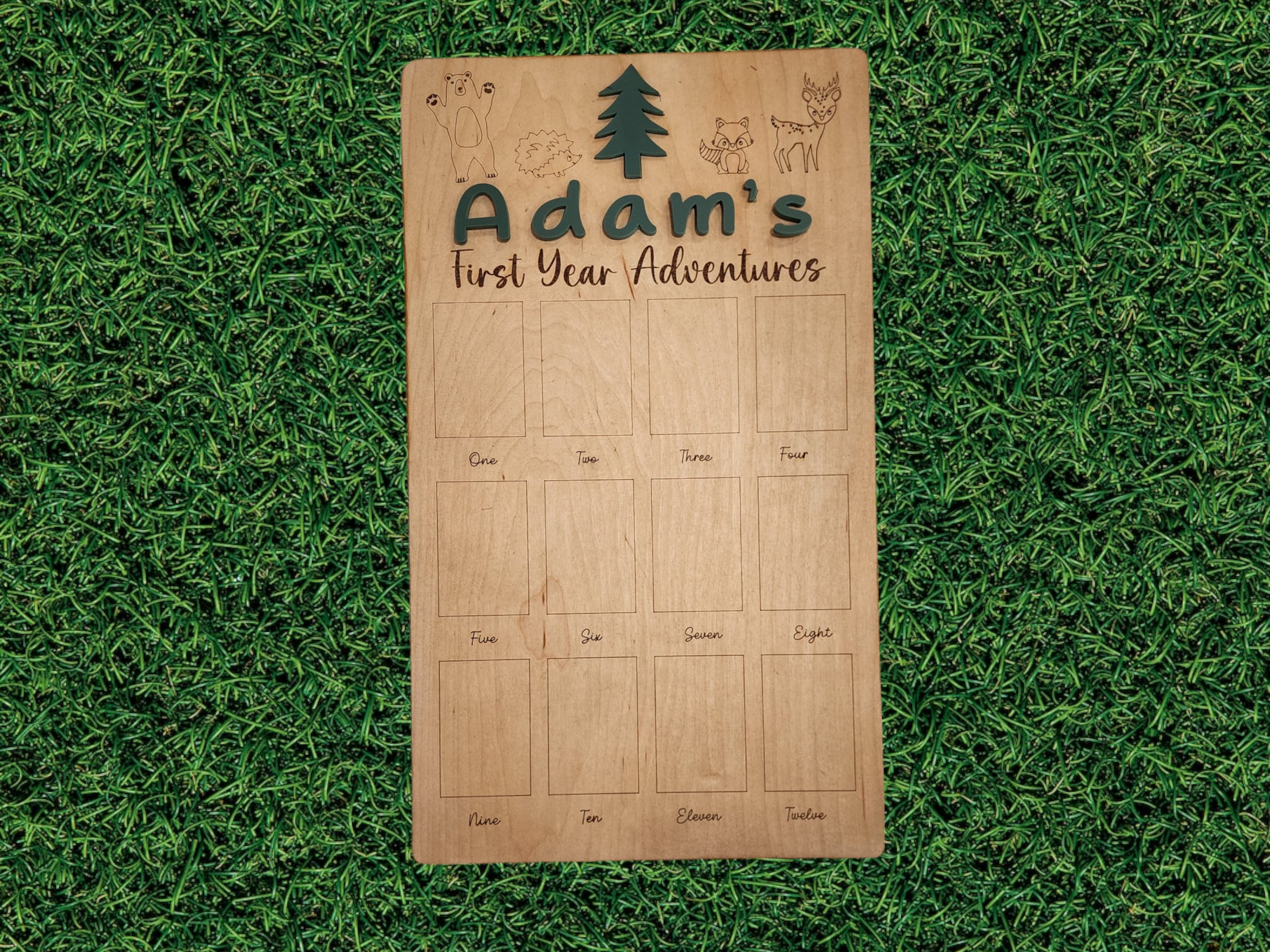 Baby's First Year Sign | First Year Photo Board | Milestone Sign | 1st ...
