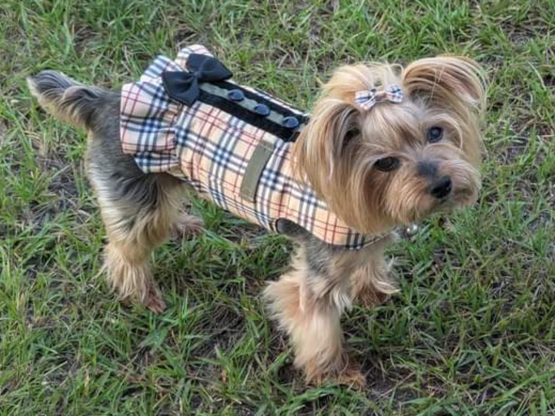 Tan Plaid Adjustable Dog Harness Dress With Leash Ring, Lined Dress for ...