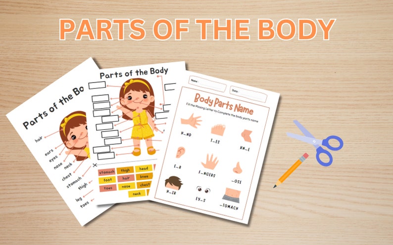 Body and Face Parts Printable Learning Pack for Toddler, Preschool, Pre ...
