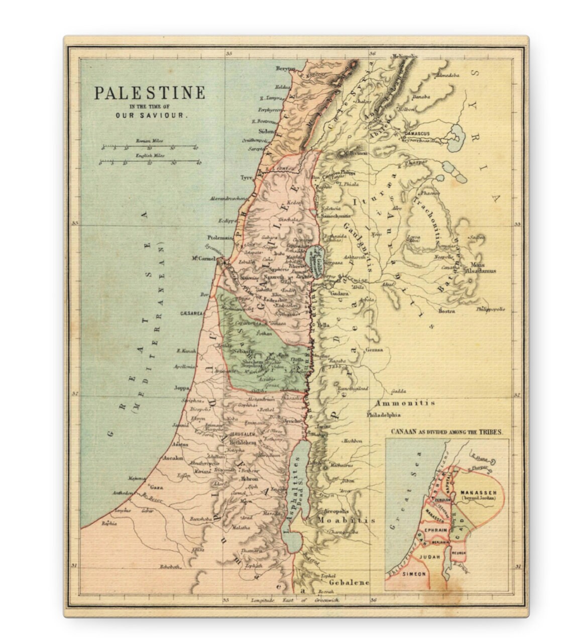 Antique Map of Palestine ~ Digital Download ~ Let Gaza Live ~ Land Back ...