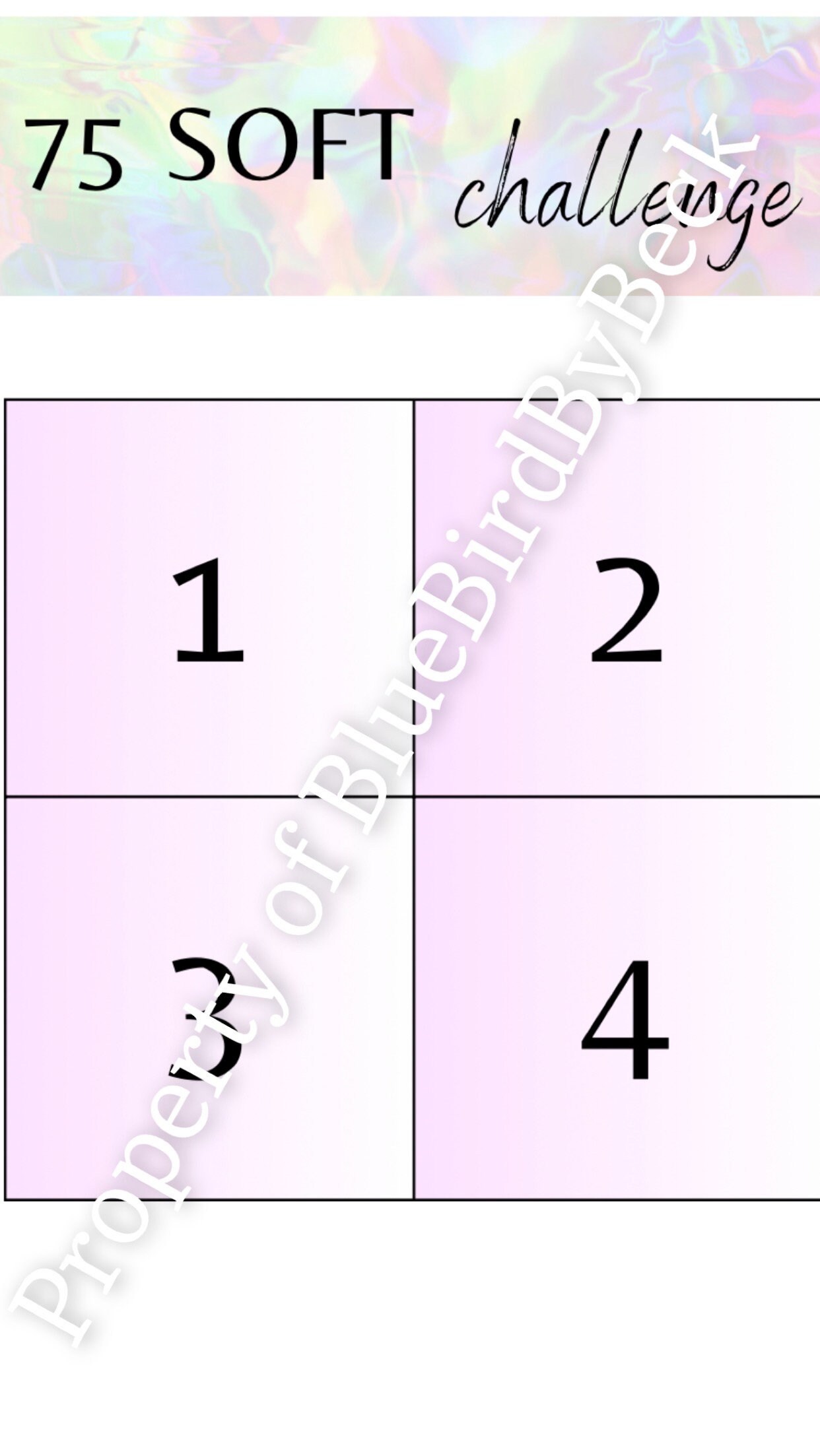 75 Soft Challenge Planner INSTANT DOWNLOAD - Etsy