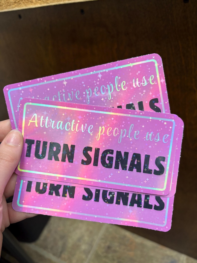Bumper Stickers Funny Pink Girl Driver Holo or Glossy Vinyl - Etsy