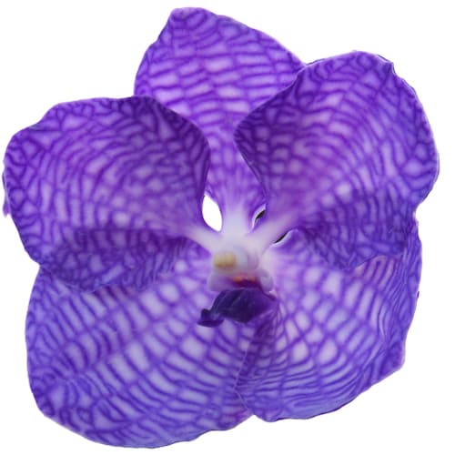 OrchidAdvisor - Etsy