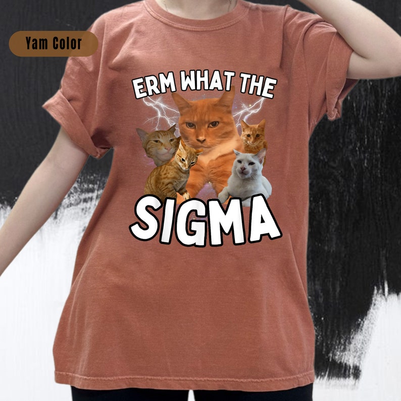 Funny Erm What the Sigma Ironic Meme Brainrot Quote Shirt - Etsy