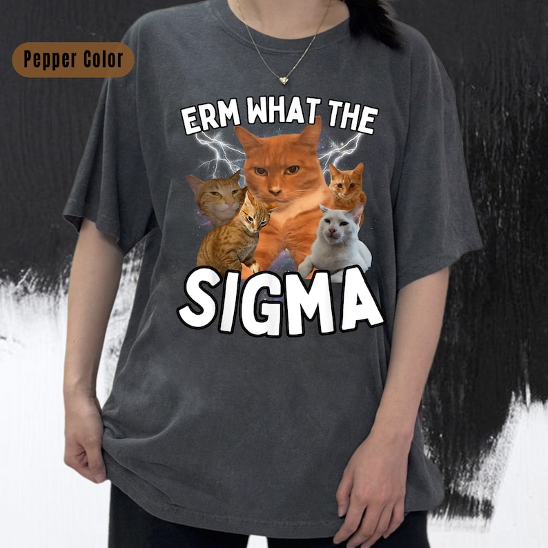 Funny Erm What the Sigma Ironic Meme Brainrot Quote Shirt - Etsy