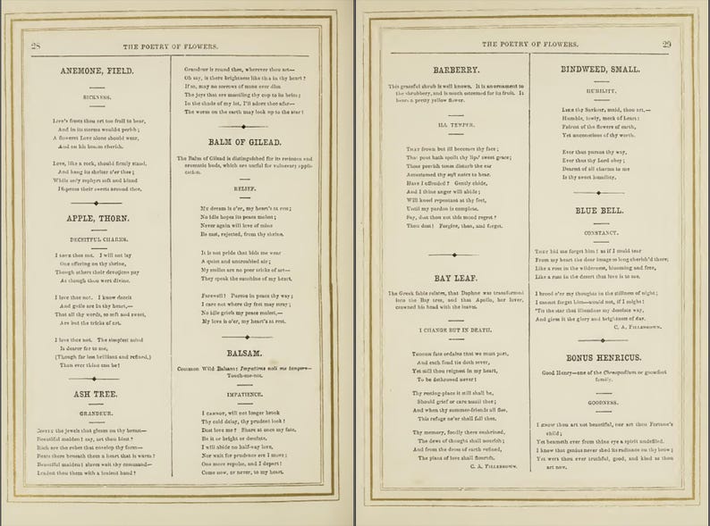 Vintage | 1800 | the Language and Poetry of Flowers | Instant Download ...