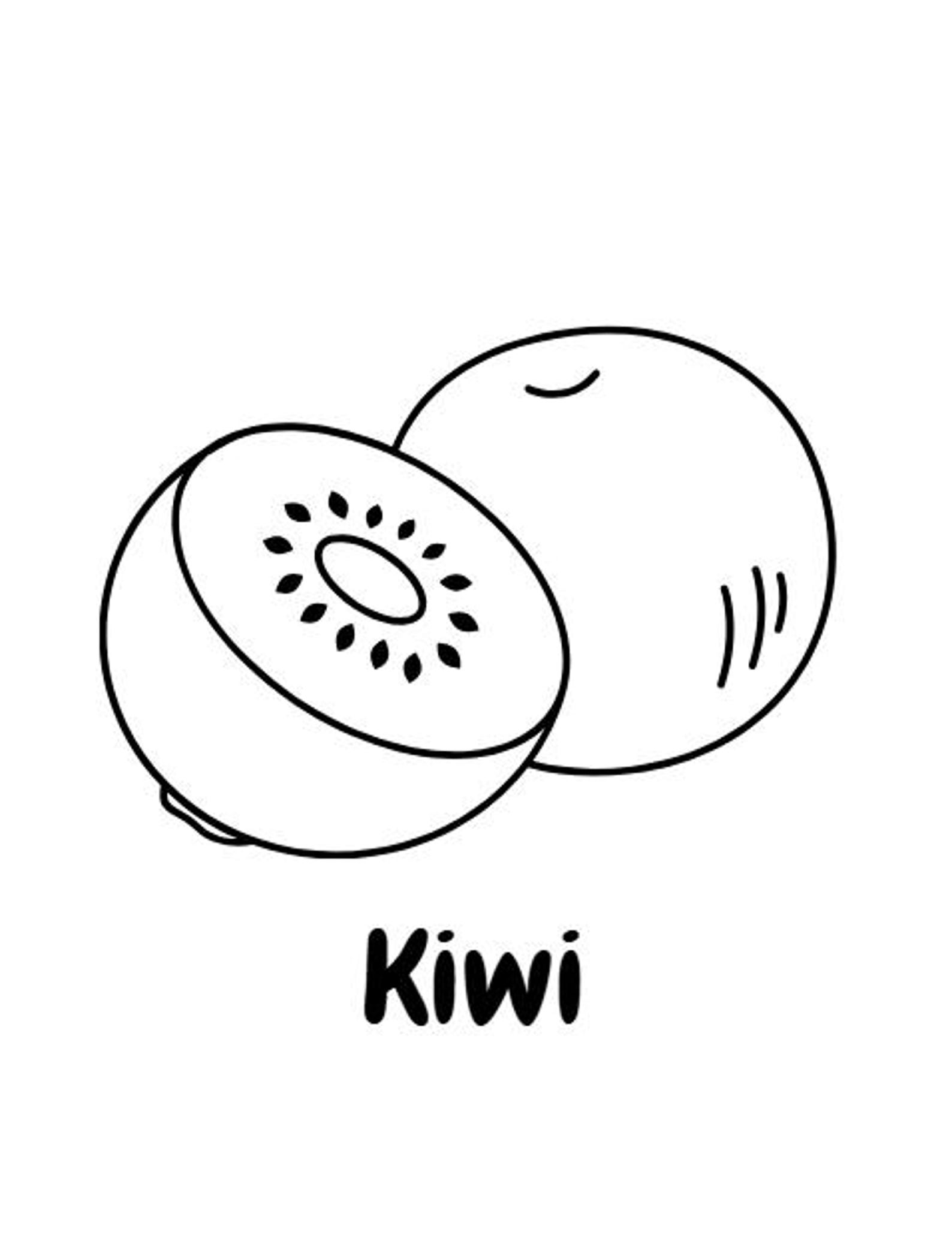 Simple Fruit Coloring Book, Printable PDF - Etsy