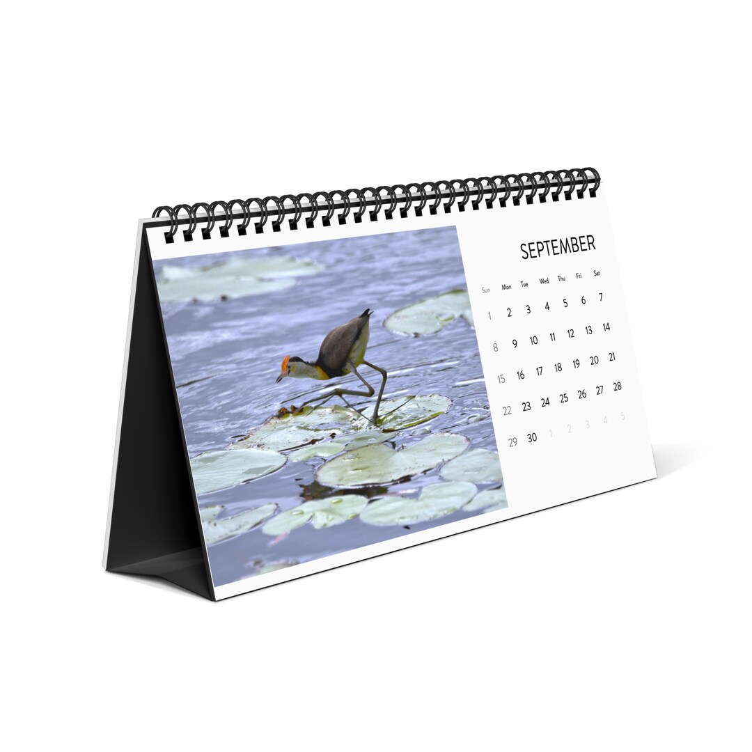 Australian Birds Desktop Calendar 2024 Grid Design - Etsy