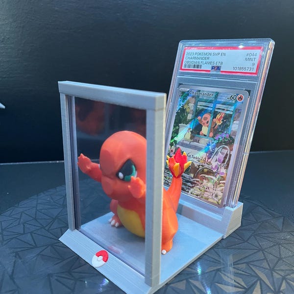 Pokémons Card Display - Etsy