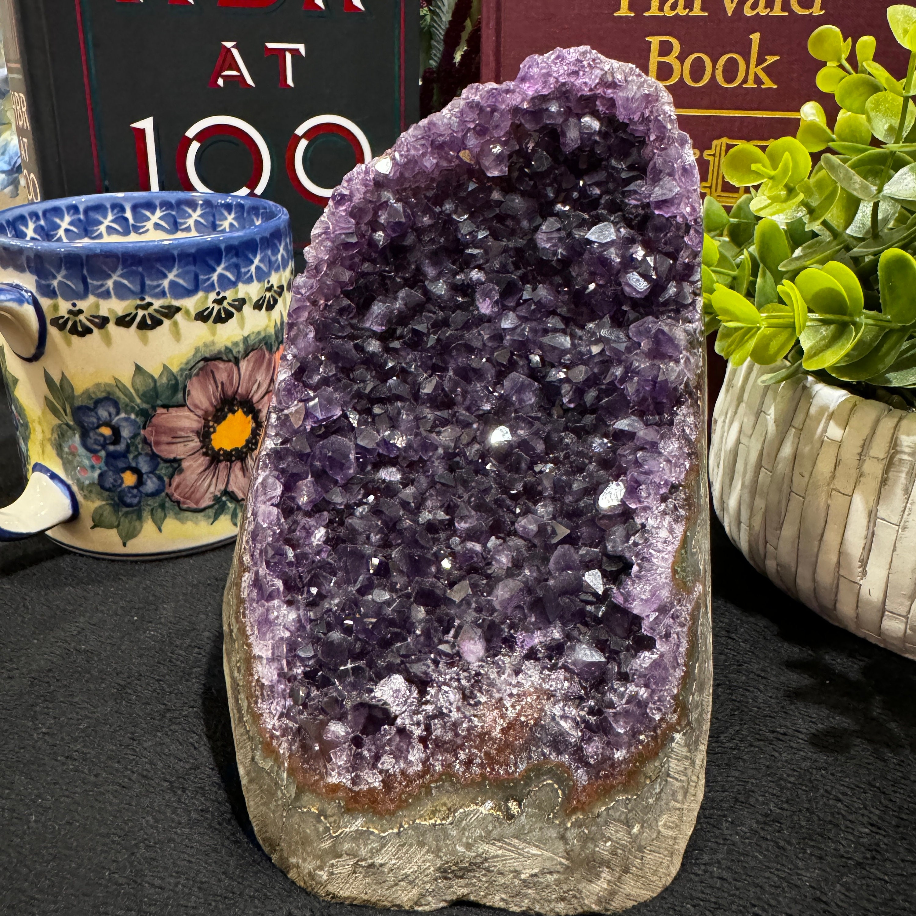 TALL Amethyst Druze Cut Base Uniform Shaped HIGH QUALITY Crystal ...