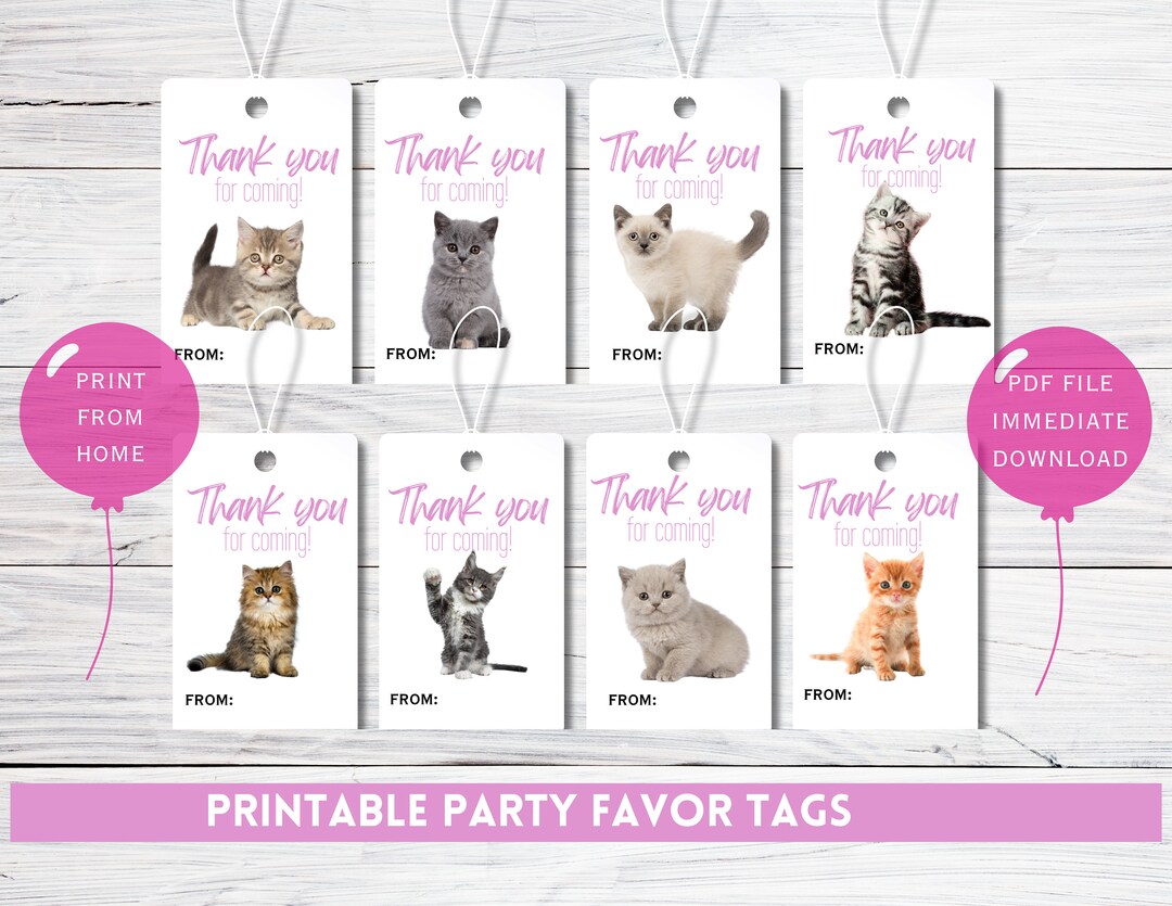 Kitten Party Favor Tags, Printable Gift Tags - Etsy