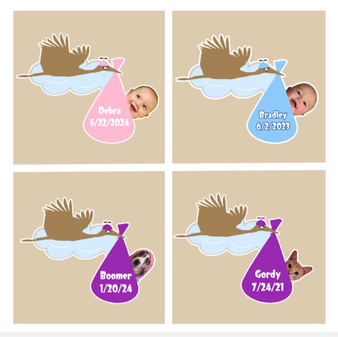 Stork Carrying New Baby or Pet/ Personalized Magnet or Sticker - Etsy