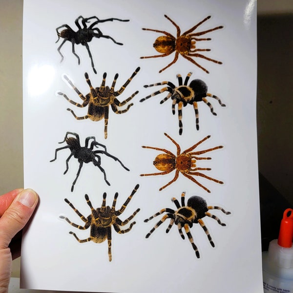 Realistic Spiders - Etsy