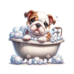 Bulldog in Bathtub PNG – Bubbly Bath, Digital Art (commercial Use) - Etsy