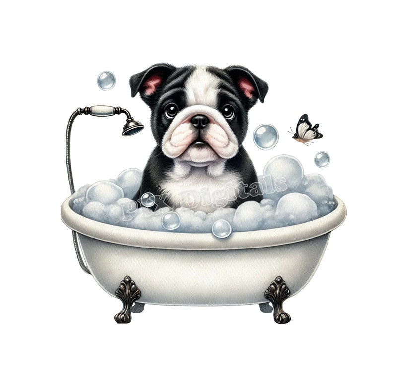 Bulldog in Bathtub PNG – Bubbly Bath, Digital Art (commercial Use) - Etsy