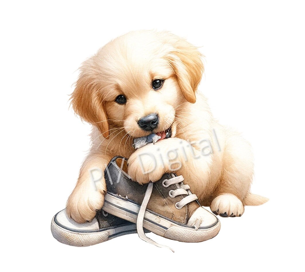 Golden Retriever Clipart – Puppy With Bowtie, Commercial Use (PNG) - Etsy