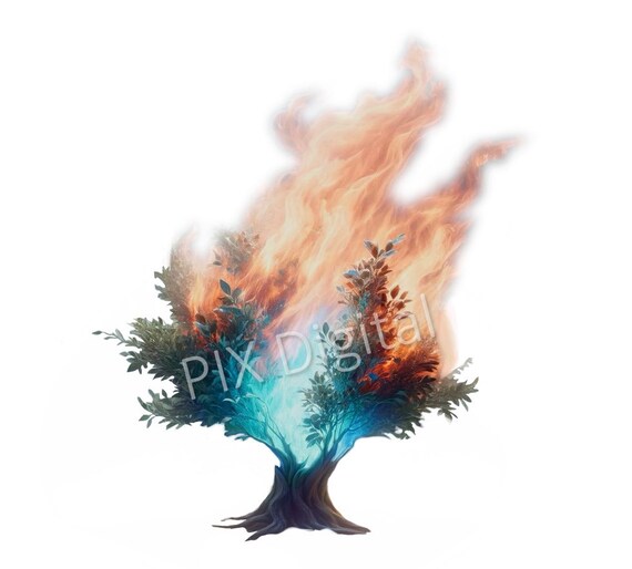 Burning Bush Bible Clipart