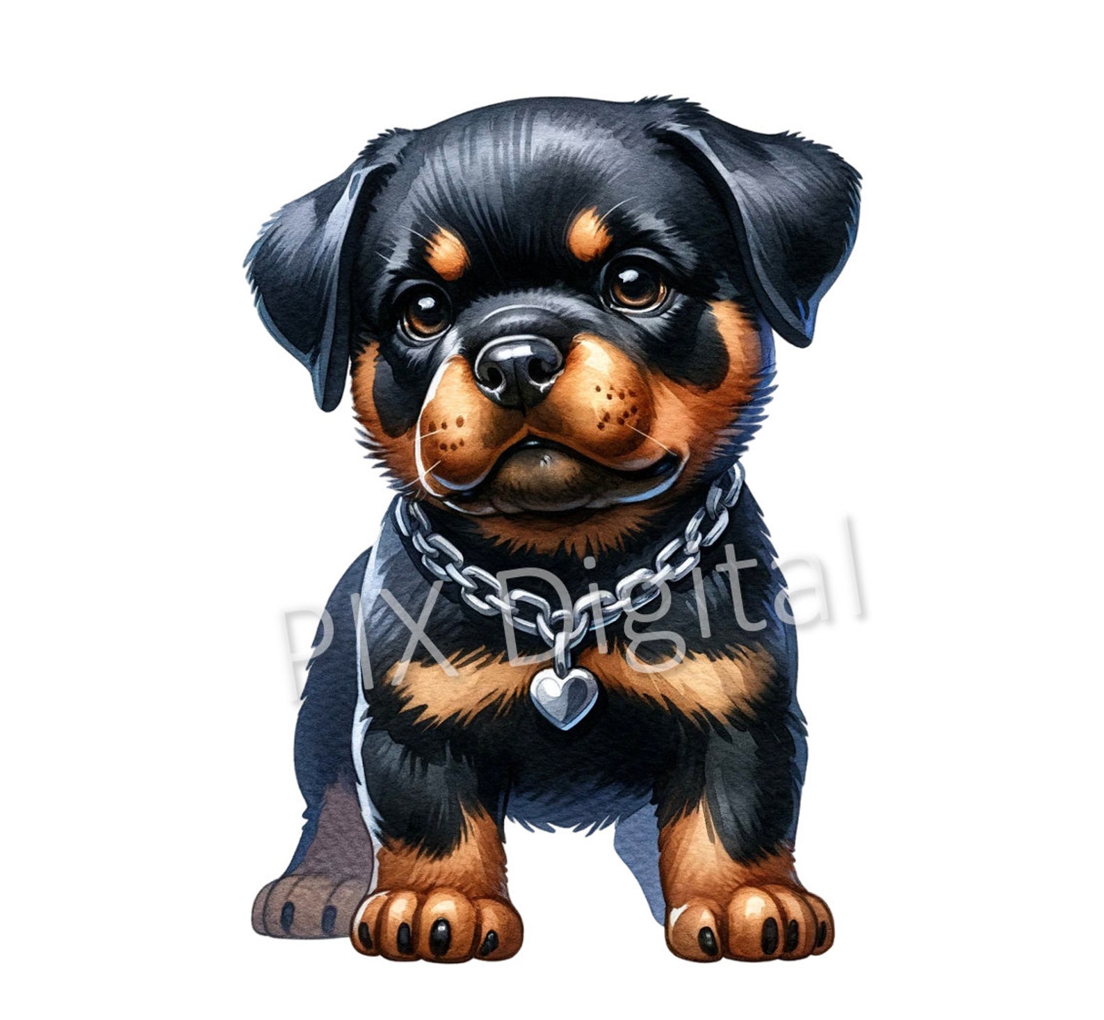 Rottweiler Puppy With Chain - Digital PNG Clipart, Commercial Use - Etsy