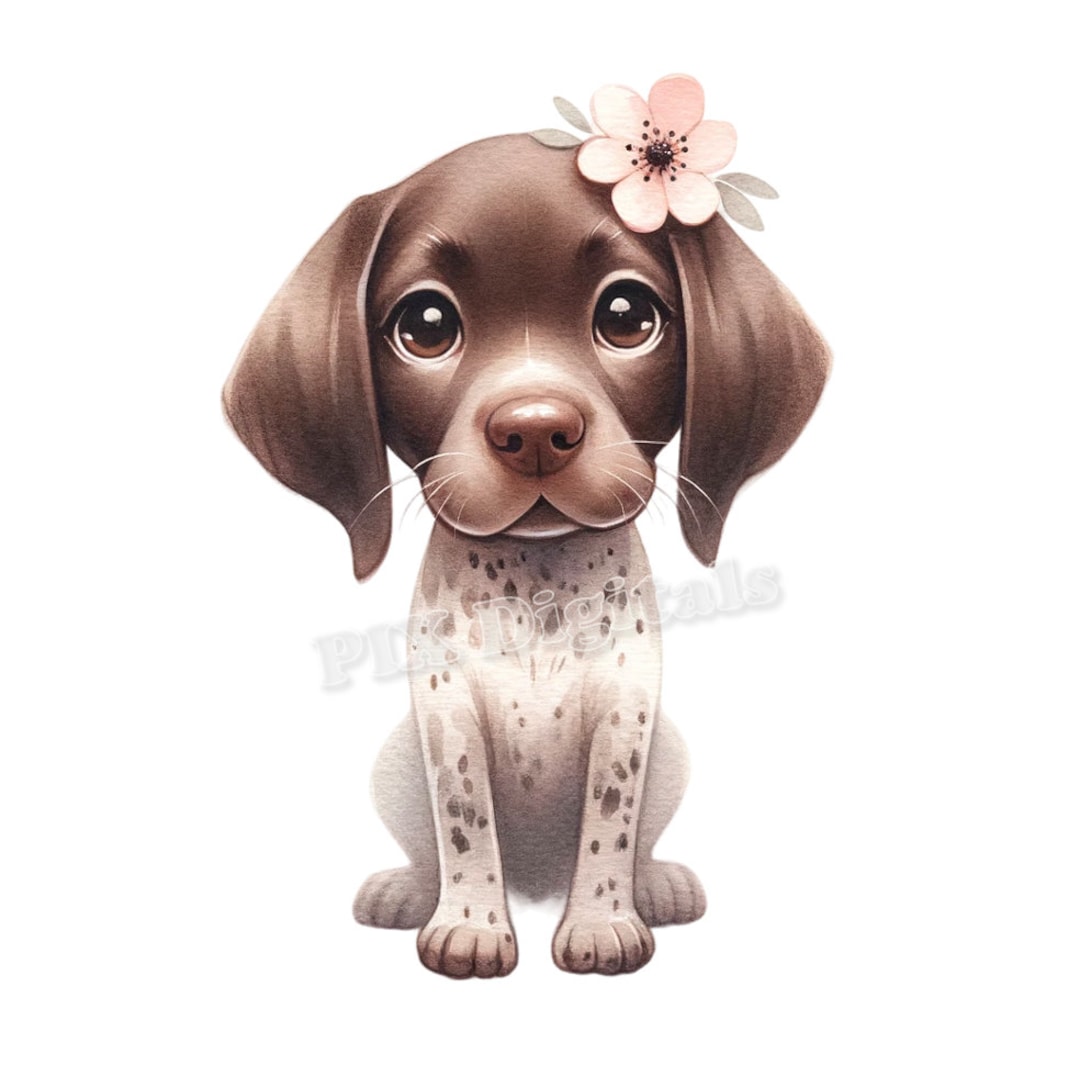 Floral German Shorthaired Pointer PNG – Transparent Dog Clipart ...