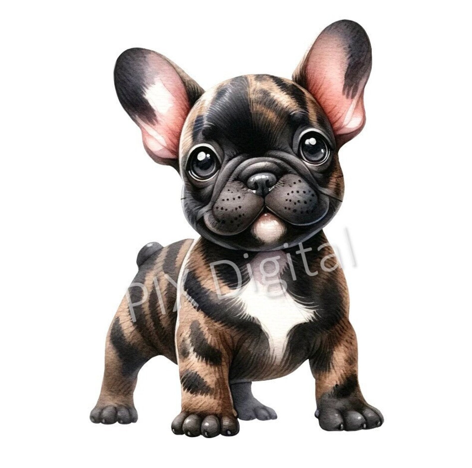 Adorable French Bulldog Digital Image PNG, French Bulldog Clipart, High ...