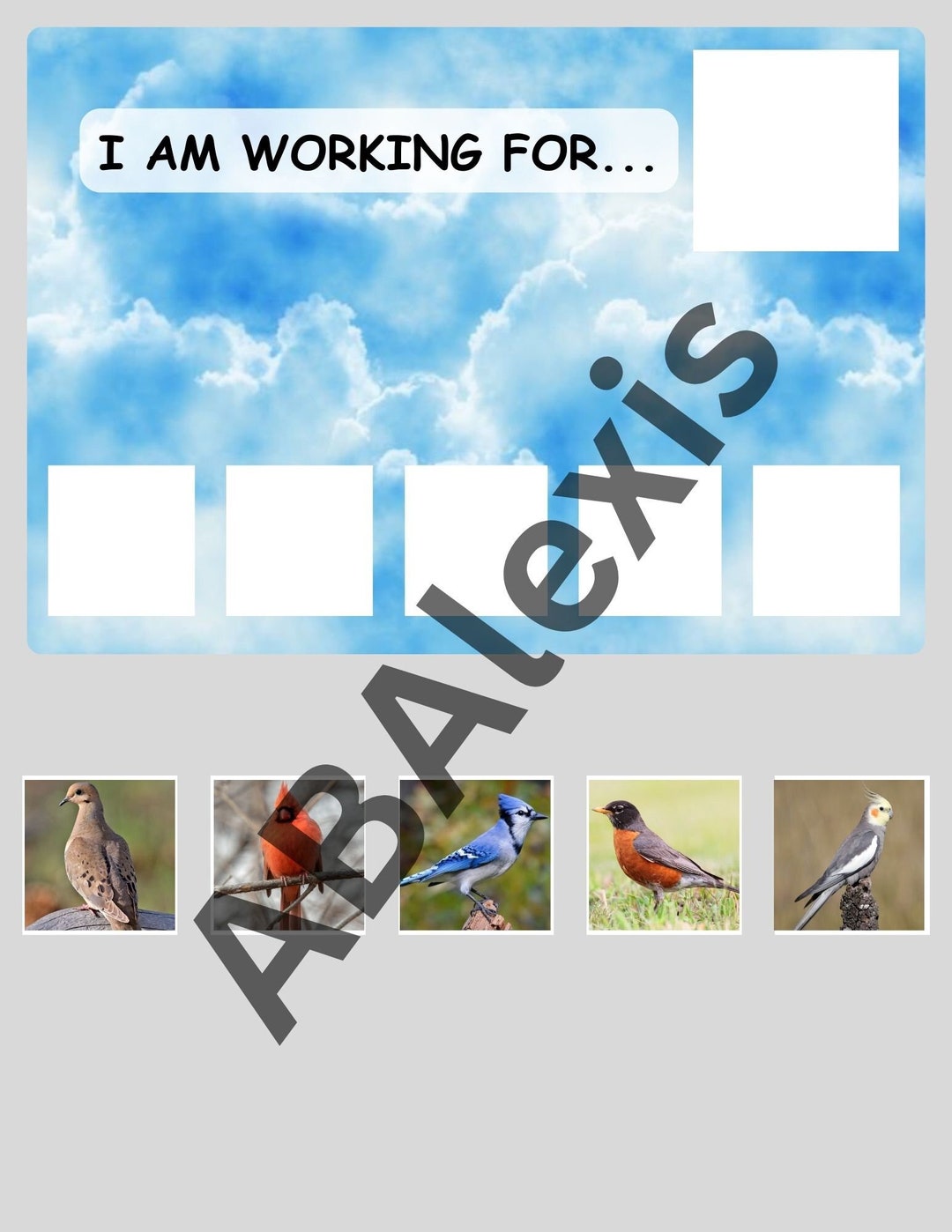 Birds Token Boards - Set of 5 & 10 Tokens - Etsy