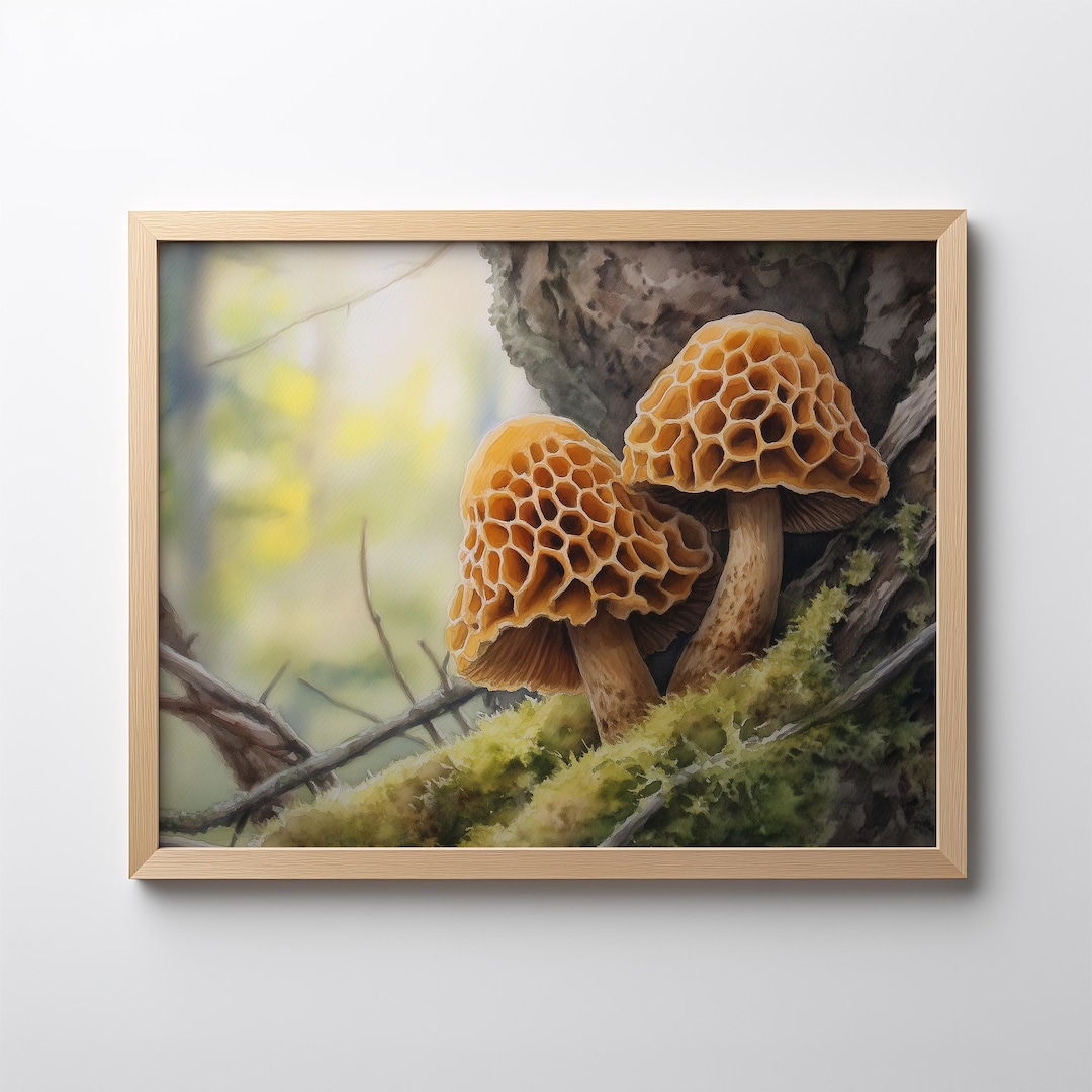 Morel Mushroom Art Print, Realistic Fungi Painting, Cottagecore Decor ...