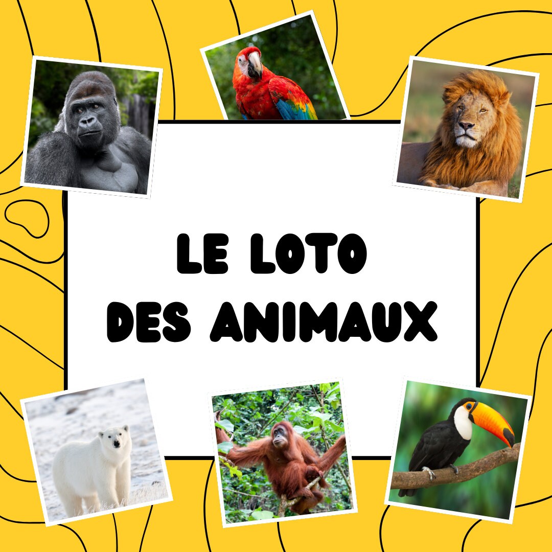 Animal Lotto - Etsy