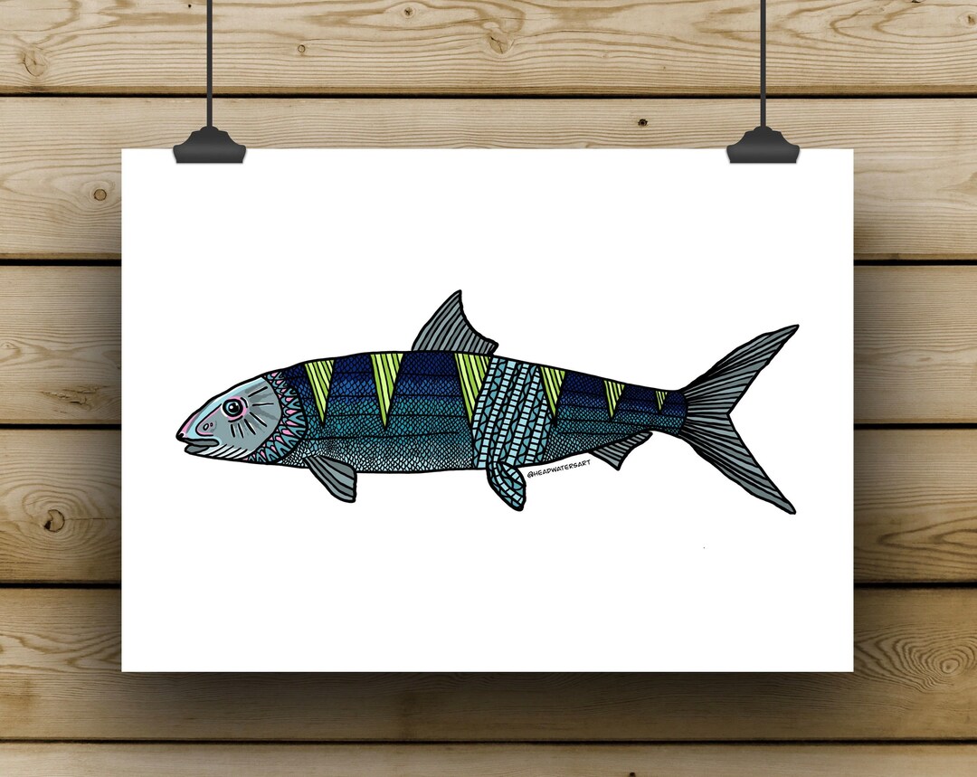 Bonefish Print PREORDER // Hand-drawn Fishing Print, Fish Artwork, Wall ...
