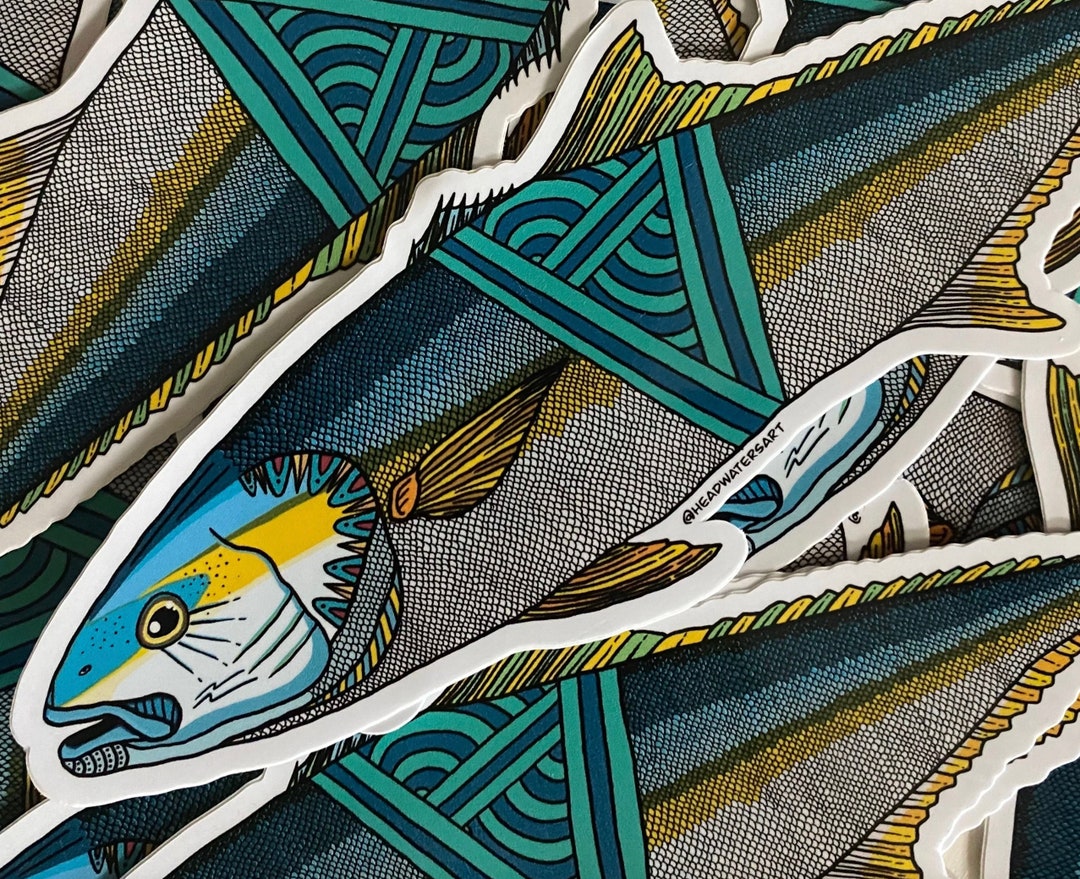 Yellowtail Kingfish Decals Fishing Stickers Saltwater Fish Series ...