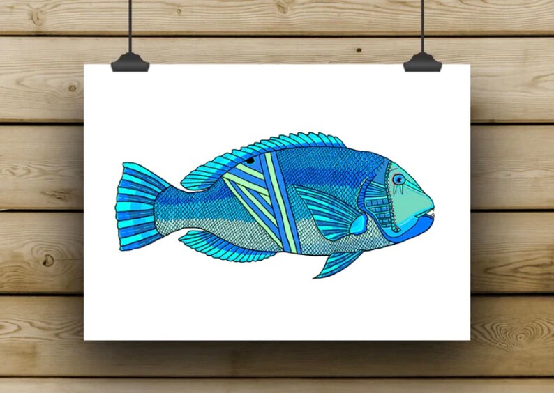 Blackspot Tusk Fish Print PREORDER // Hand-drawn Fishing Print, Fish ...