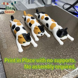 Flexi Holding Calico Cat Set , STL File for 3dprinting, Keychain, Print ...
