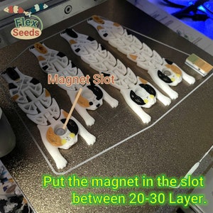 Flexi Holding Calico Cat Set , STL File for 3dprinting, Keychain, Print ...