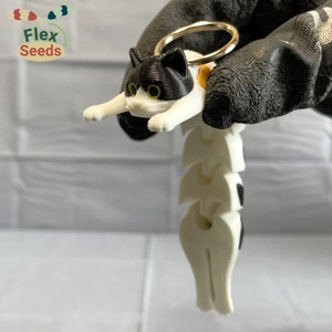 Flexi Holding Calico Cat Set , STL File for 3dprinting, Keychain, Print ...