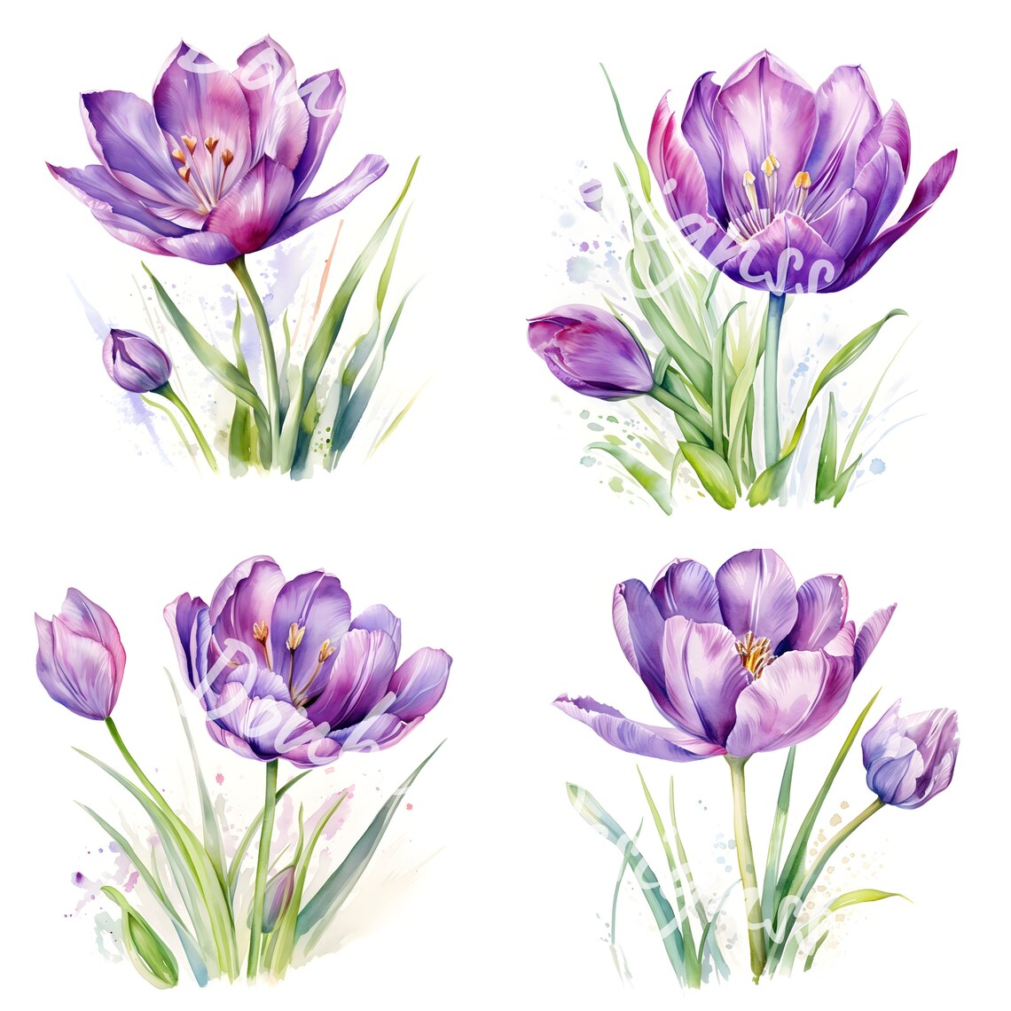 Watercolor Purple Tulip Flowers Clipart Bundle Watercolor Tulip Flowers ...