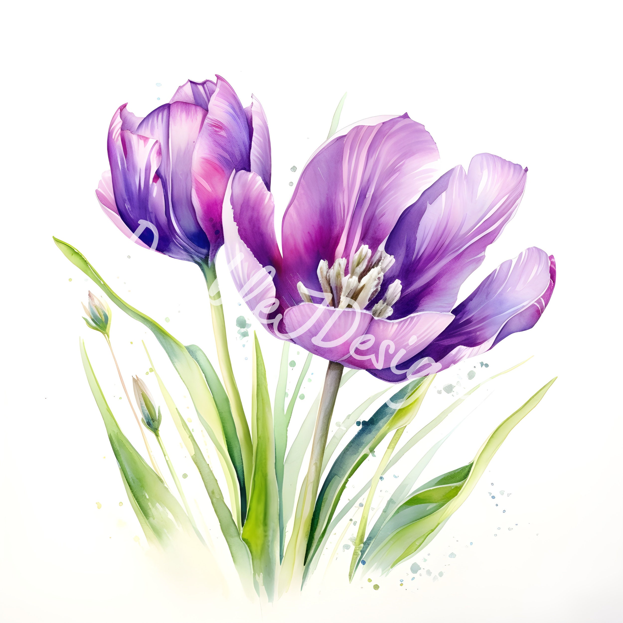 Watercolor Purple Tulip Flowers Clipart Bundle Watercolor Tulip Flowers ...
