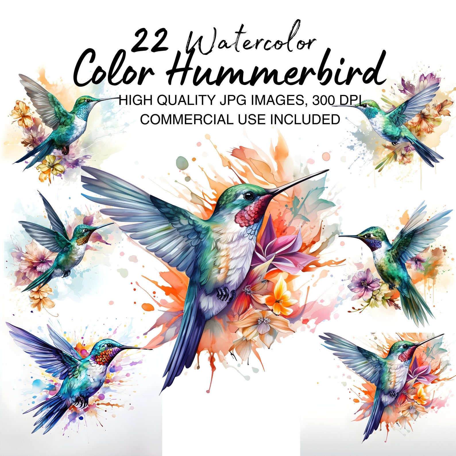 22 Color Hummingbird Clipart , Adorable Colibri, Printable Watercolor ...