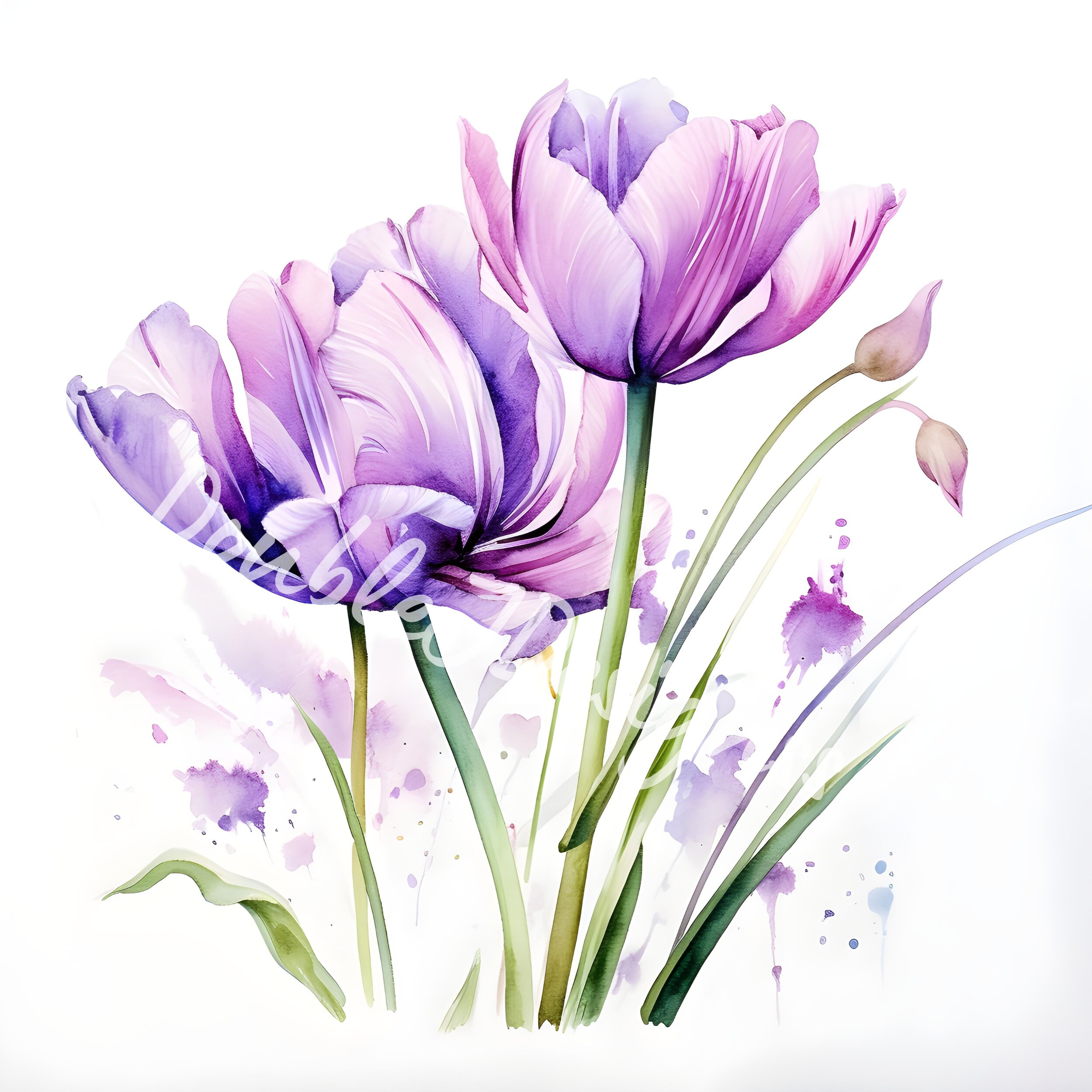 Watercolor Purple Tulip Flowers Clipart Bundle Watercolor Tulip Flowers ...