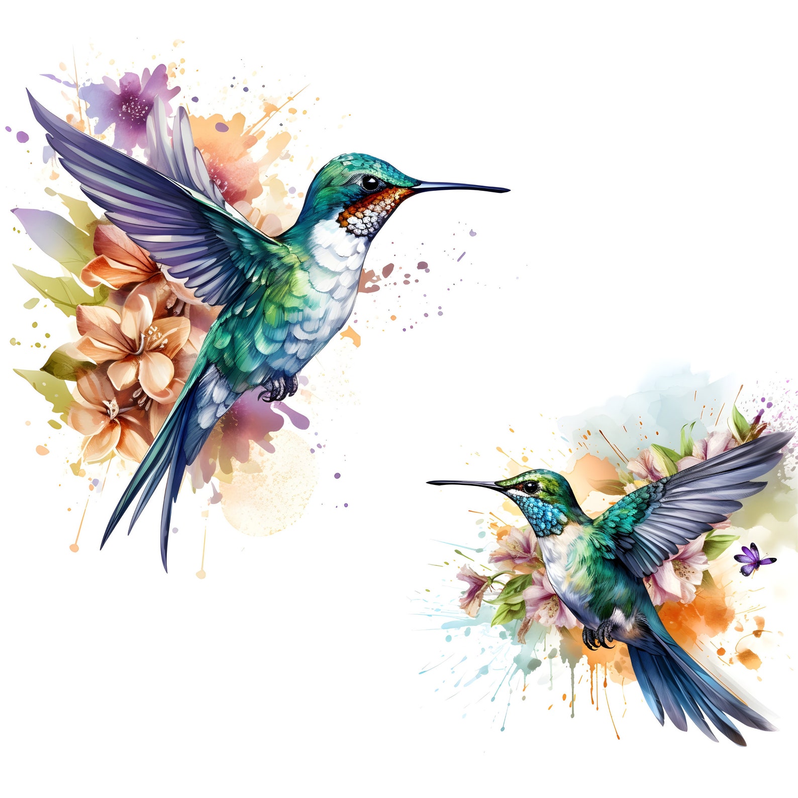 22 Color Hummingbird Clipart , Adorable Colibri, Printable Watercolor ...