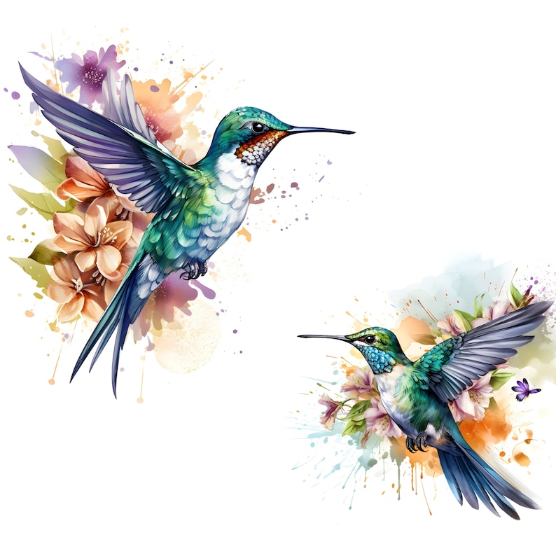 22 Color Hummingbird Clipart , Adorable Colibri, Printable Watercolor ...