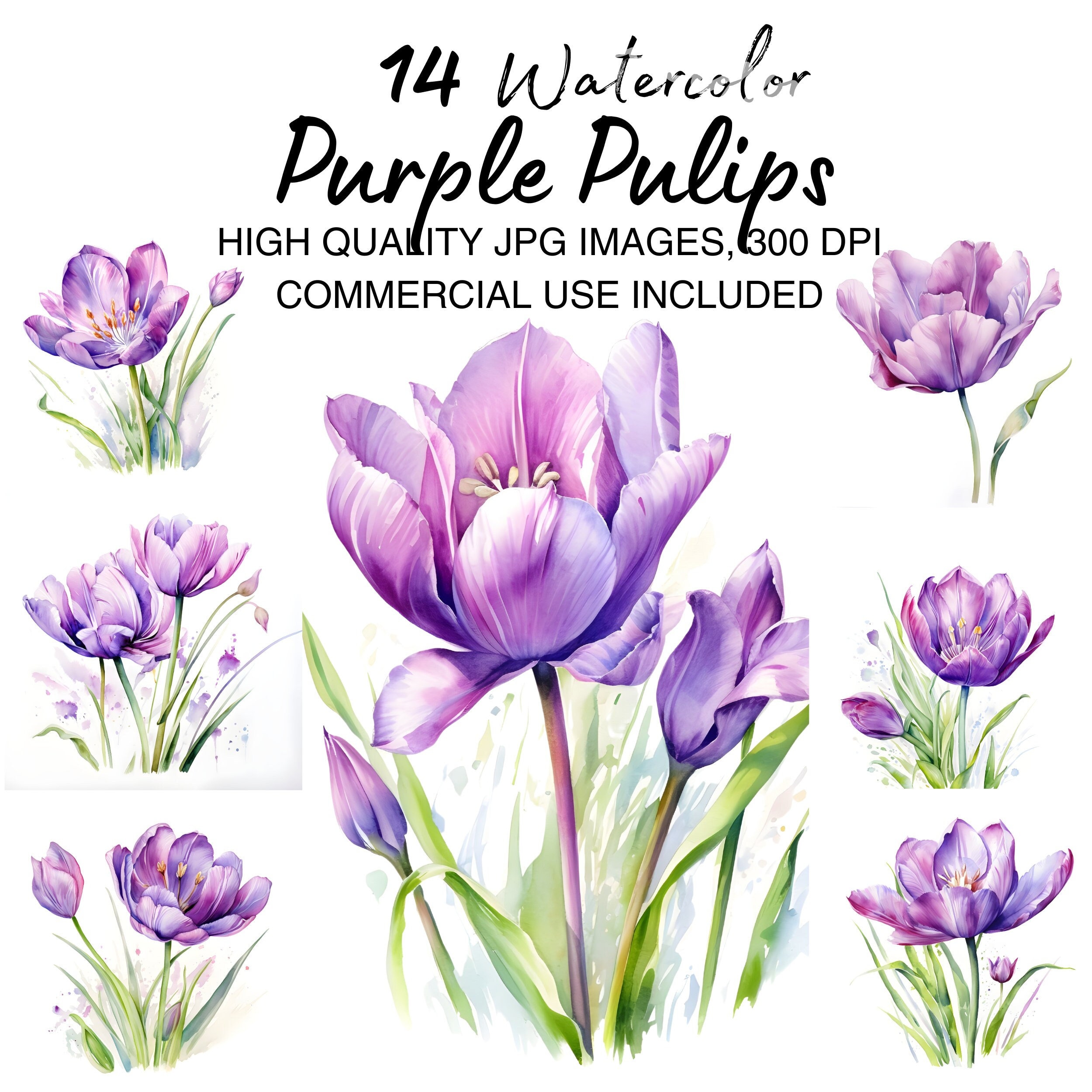 Watercolor Purple Tulip Flowers Clipart Bundle Watercolor Tulip Flowers ...