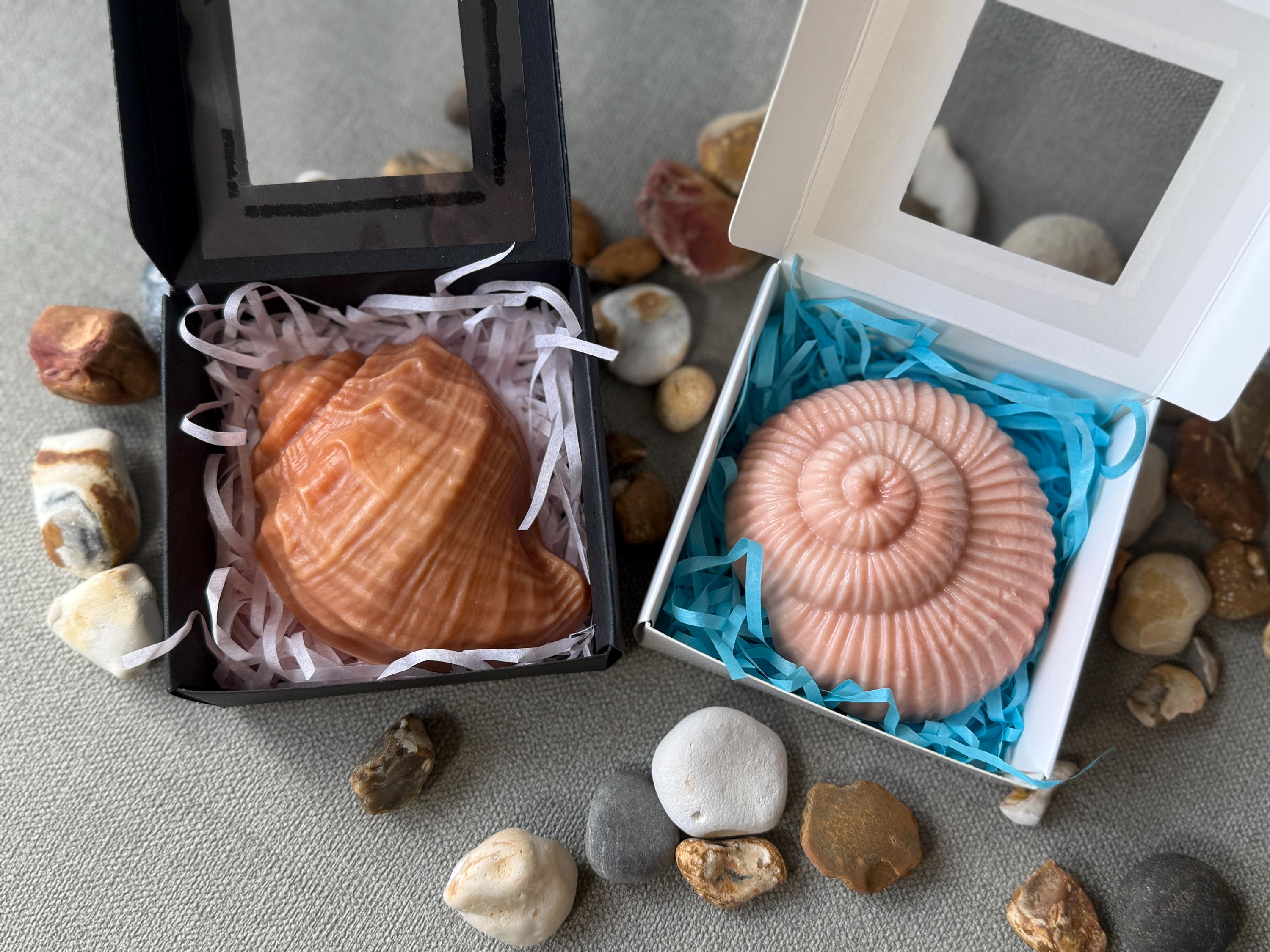 Handmade Seashell Soap Gift Box – Large Vegan Scented Soap Bar – Luxury ...