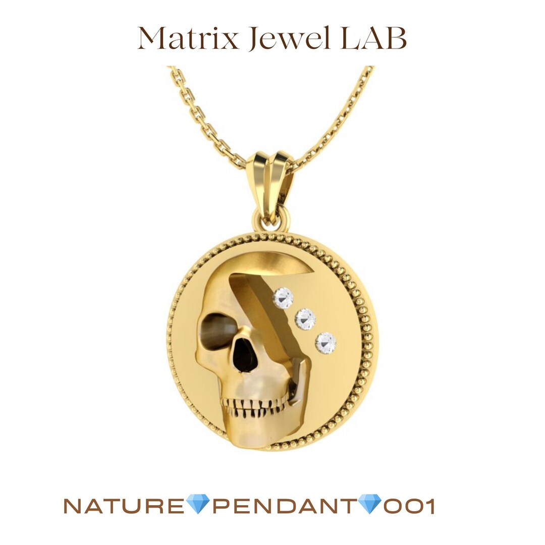 Skull Coin Pendant 3D STL CAD File – Stone-set & Plain Gothic Jewelry ...