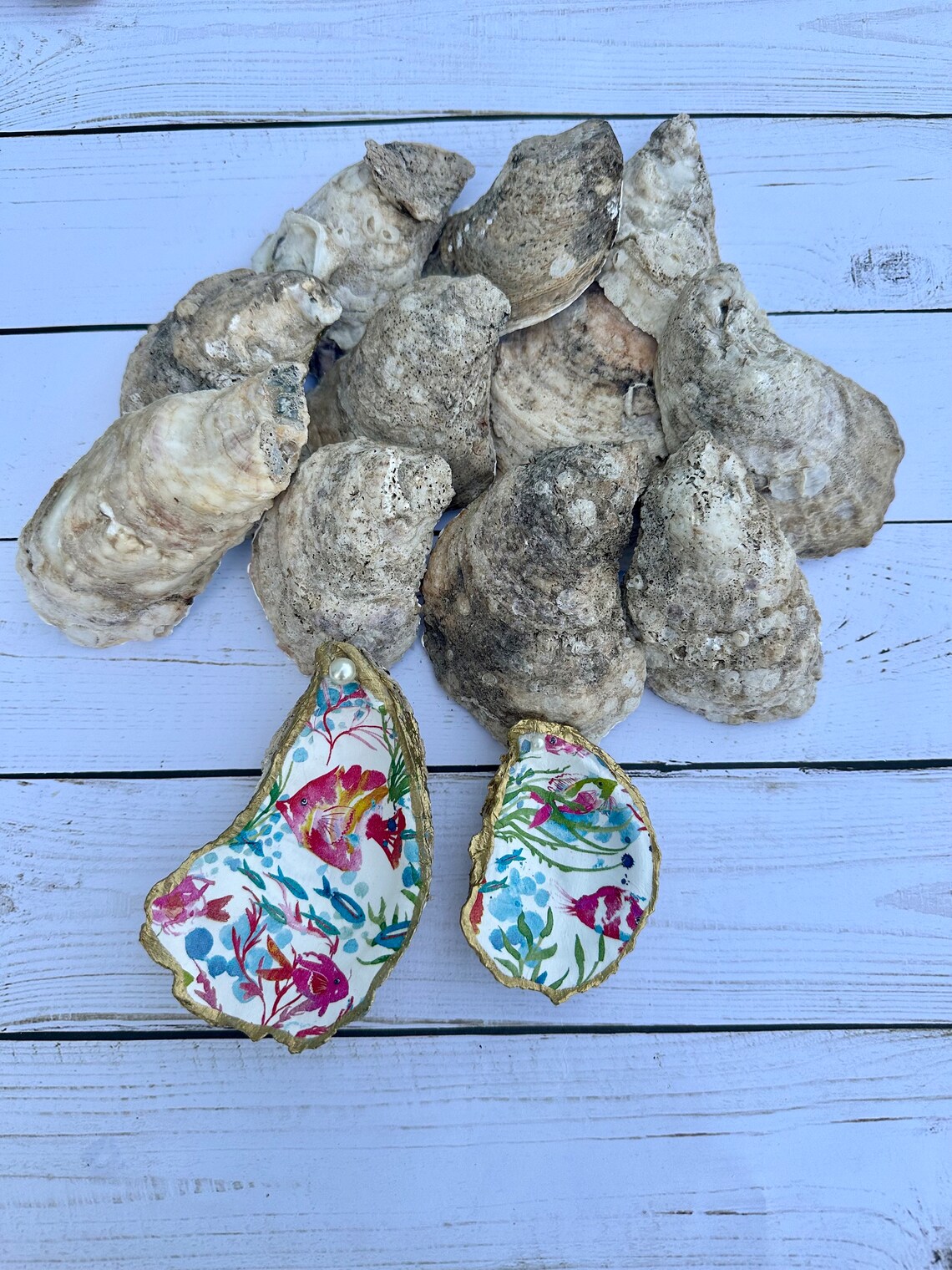 Tropical Fish Design Oyster Shell Jewelry Dish / Trinket - Etsy